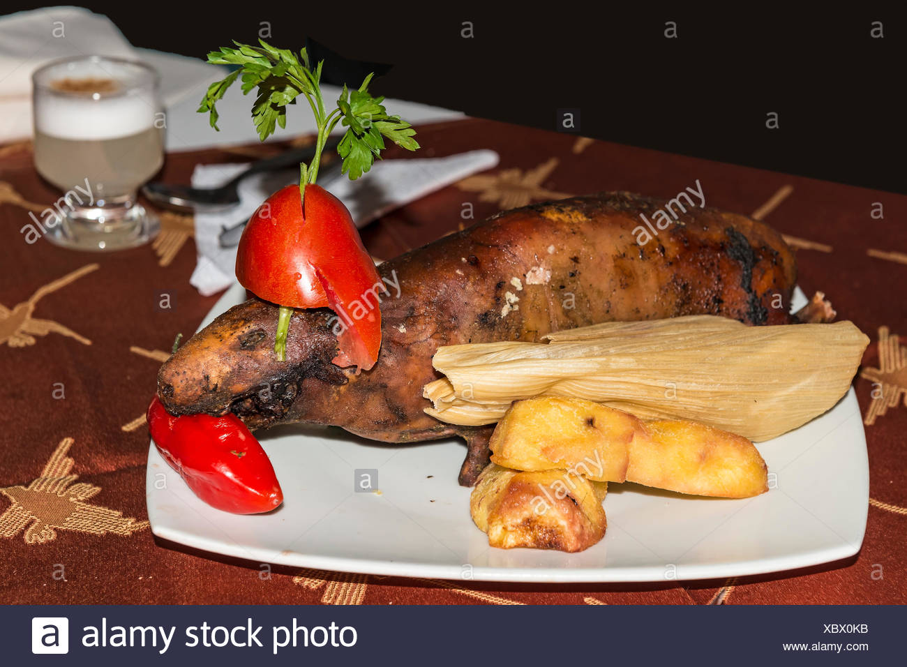 Peru Guinea Pig High Resolution Stock Photography and Images - Alamy