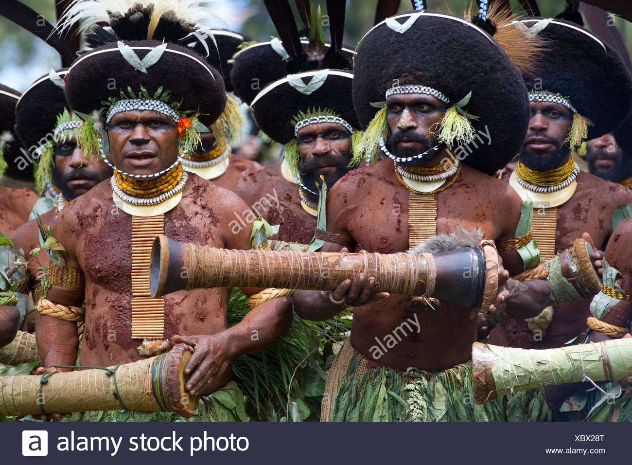 Enga Tribe Stock Photos & Enga Tribe Stock Images - Alamy