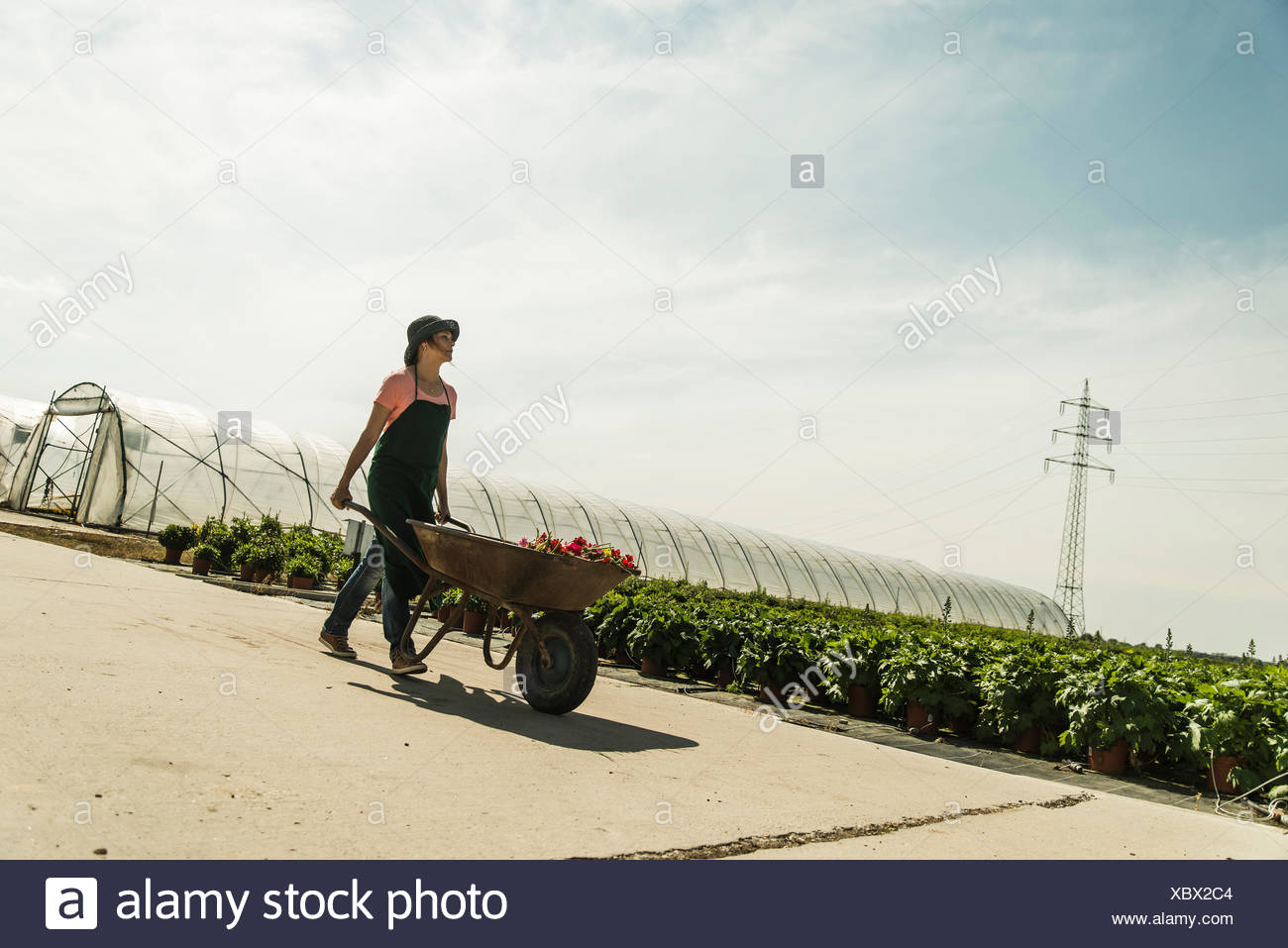 Woman Pushing A Wheelbarrow High Resolution Stock Photography and ...