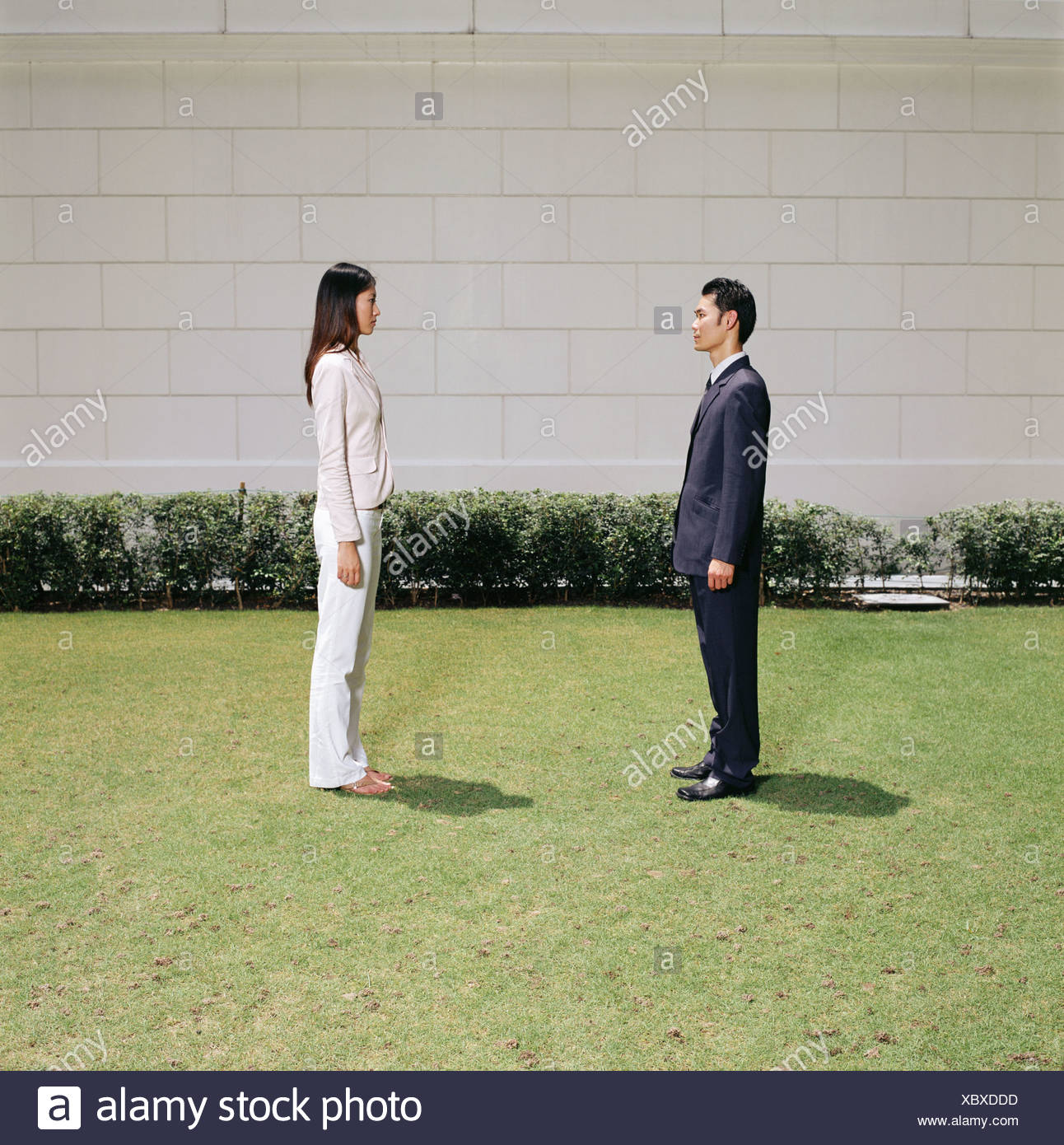 Staring At Each Other High Resolution Stock Photography and Images - Alamy
