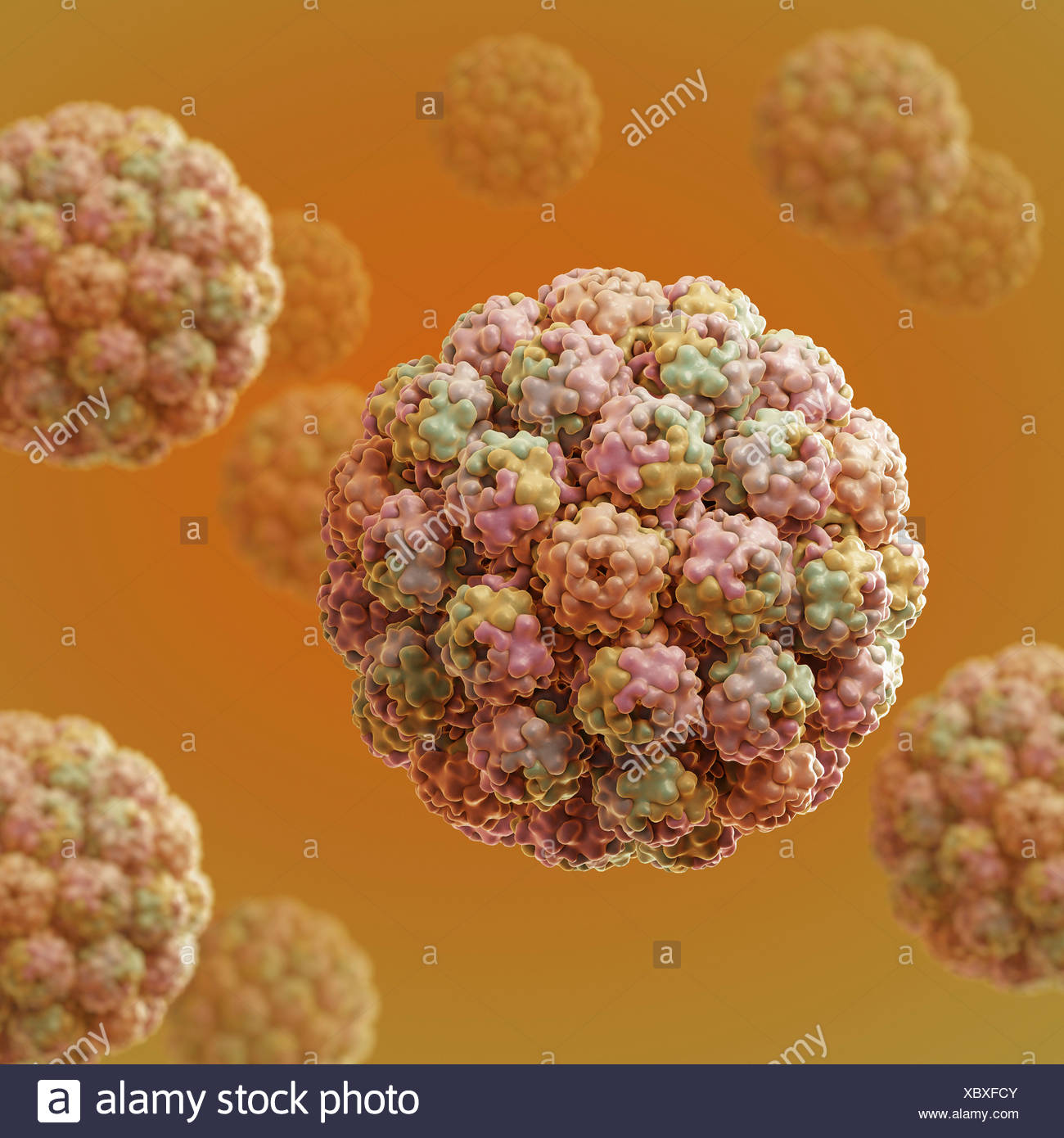 Polyomaviridae High Resolution Stock Photography and Images - Alamy