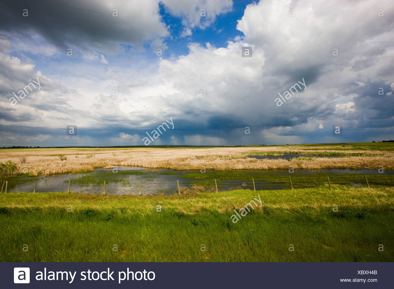 Ralston High Resolution Stock Photography and Images - Alamy