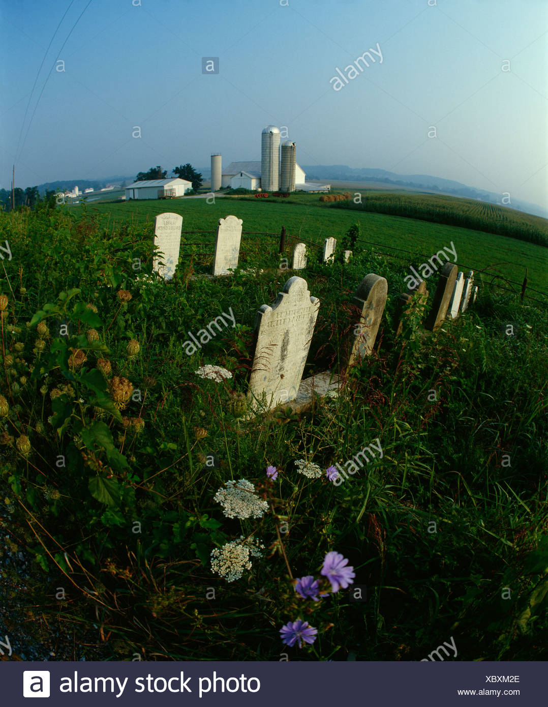 Old Fashioned Headstone High Resolution Stock Photography and Images ...