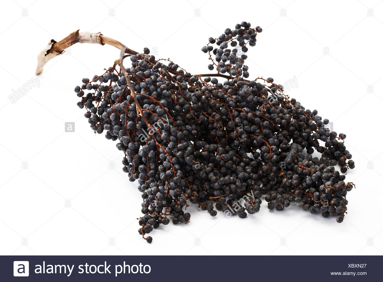 Acai Berry Tree High Resolution Stock Photography and Images - Alamy