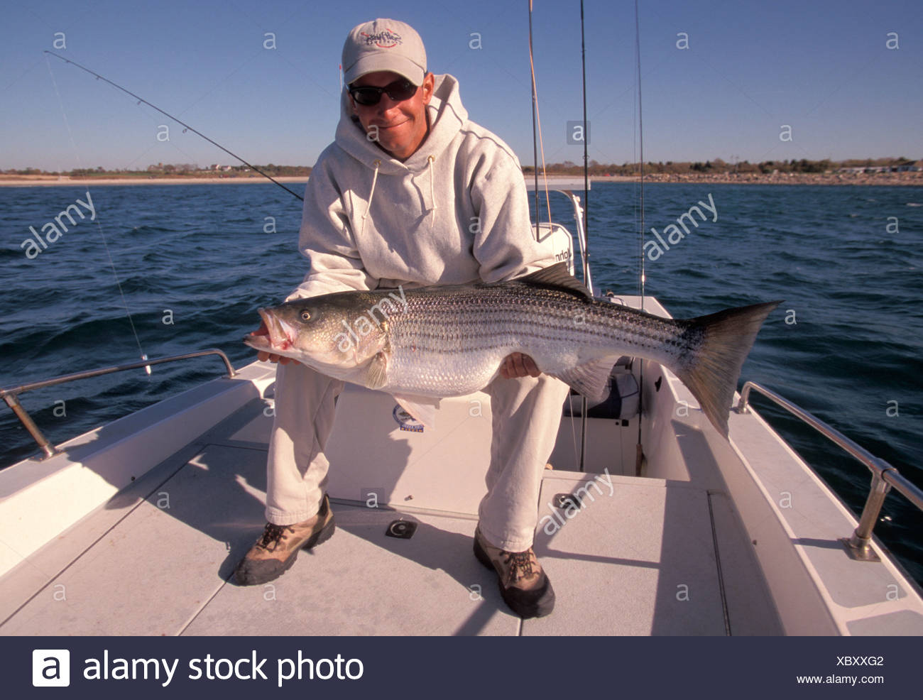 Big Fish Stock Photos & Big Fish Stock Images - Alamy