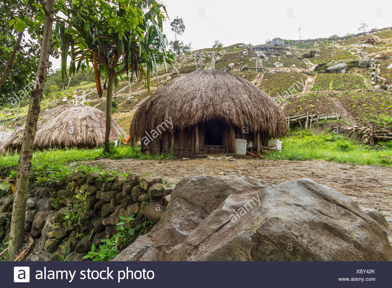 Honai High Resolution Stock Photography and Images - Alamy
