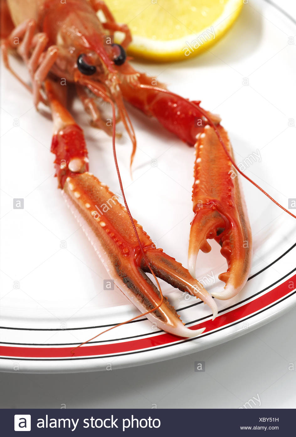 Single Prawn Plate High Resolution Stock Photography and Images - Alamy