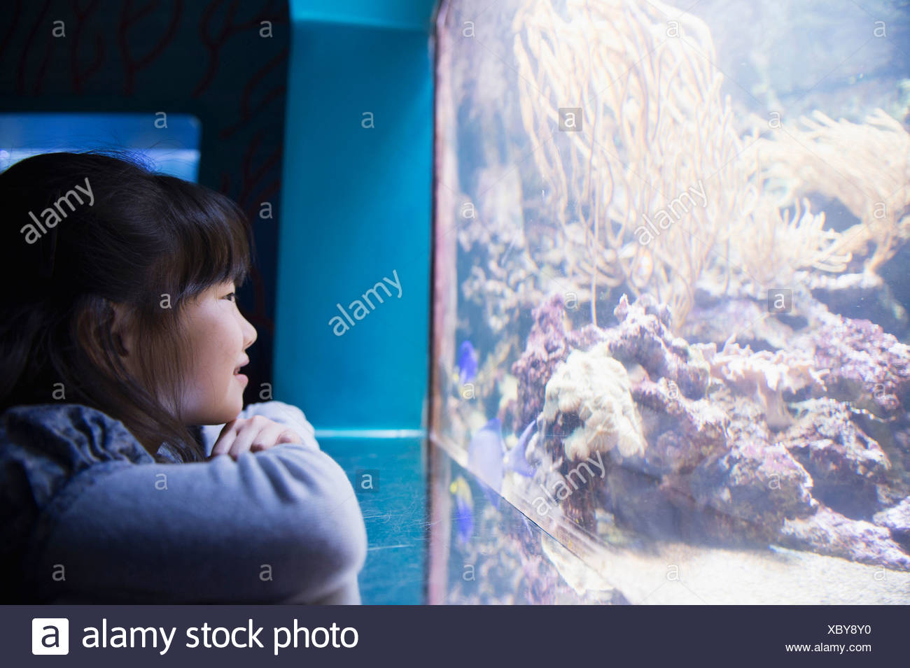 Girl In Aquarium High Resolution Stock Photography and Images - Alamy