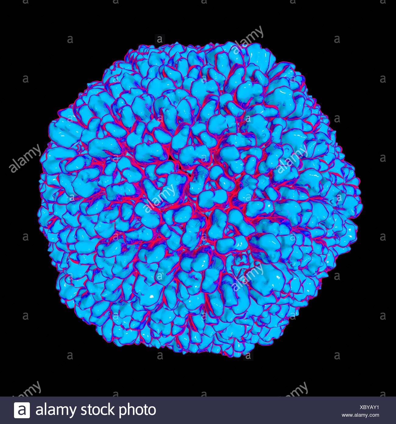 Sputnik Virophage Particle Stock Photos & Sputnik Virophage Particle ...