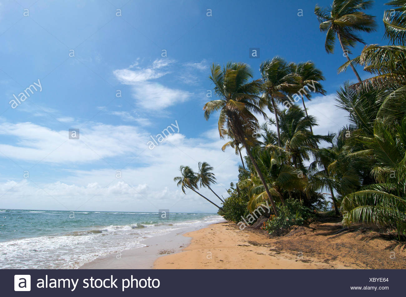 Puerto Rico Landscape High Resolution Stock Photography and Images - Alamy