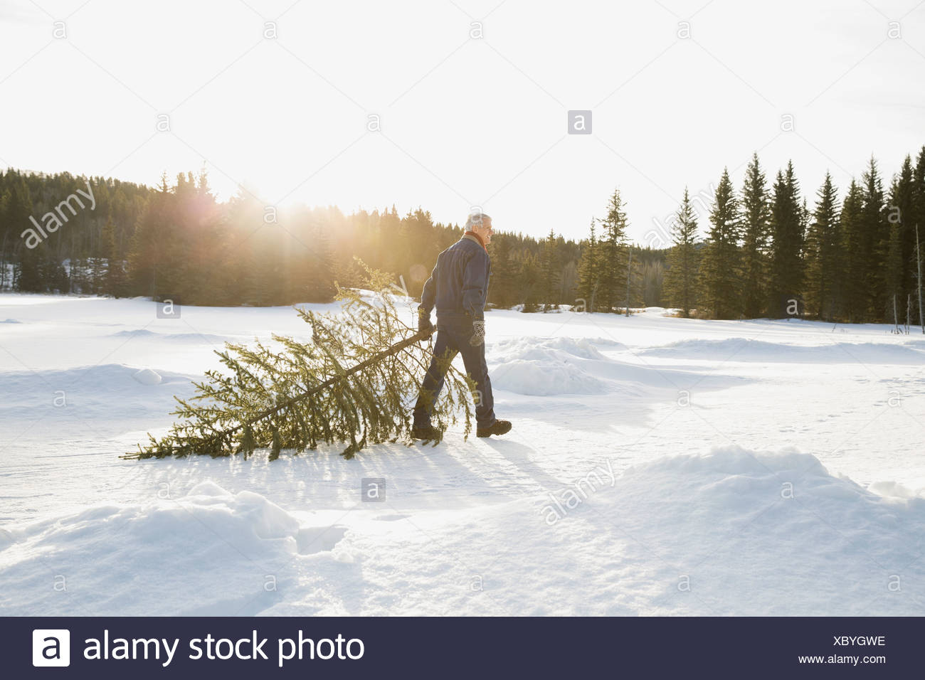 Dragging Stock Photos & Dragging Stock Images - Alamy