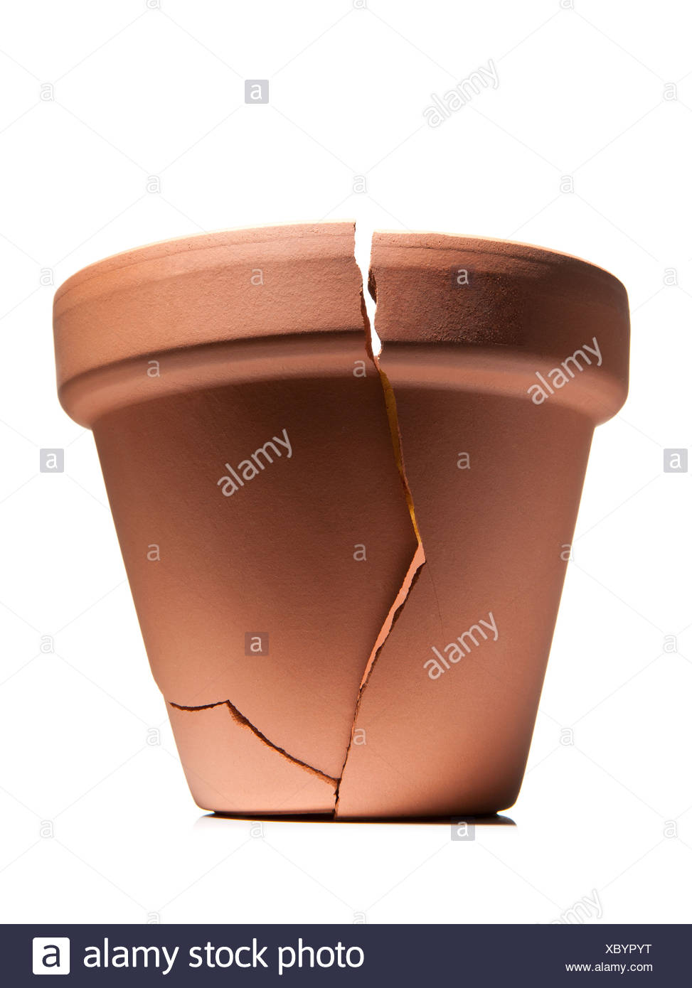 Broken Flower Up Close High Resolution Stock Photography and Images - Alamy