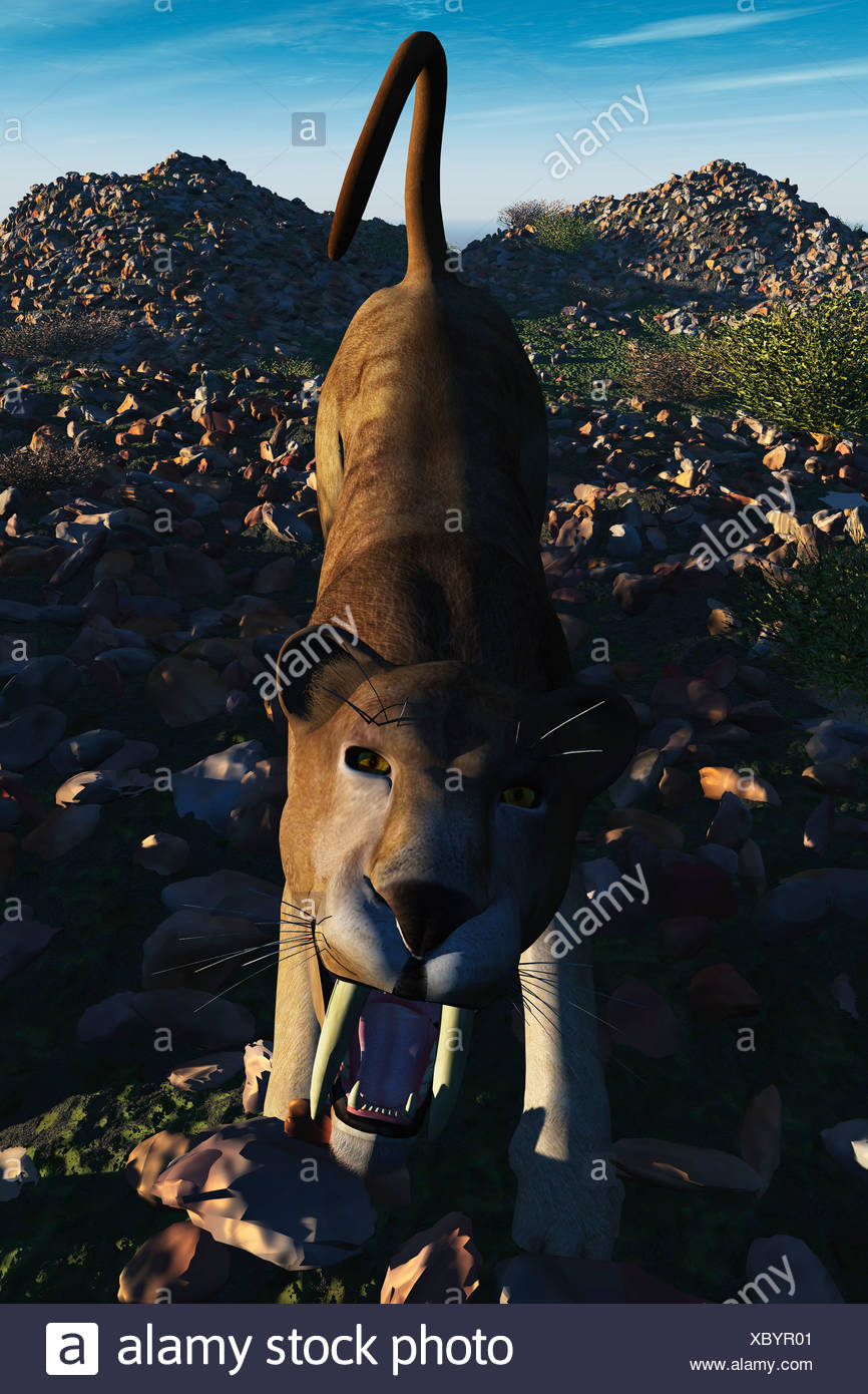 Sabertooth High Resolution Stock Photography and Images - Alamy