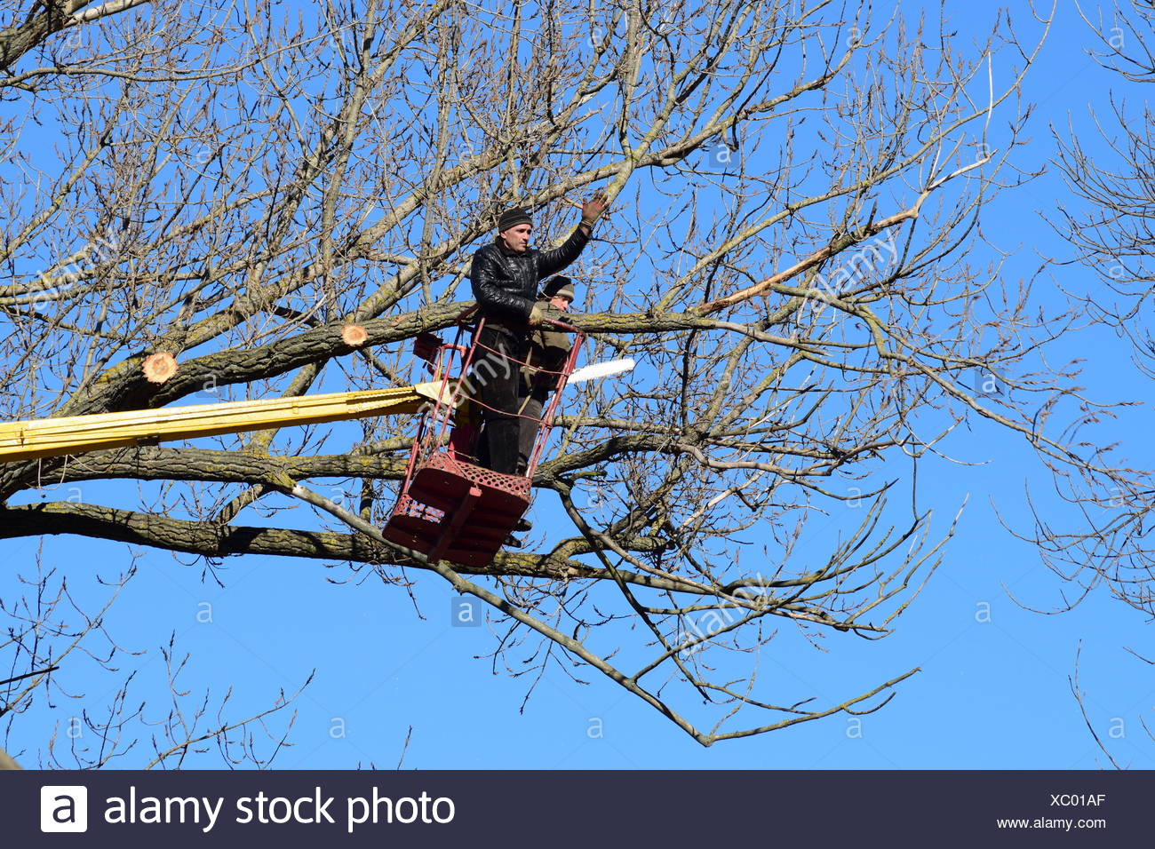 Maintenance Of Public Order High Resolution Stock Photography and ...