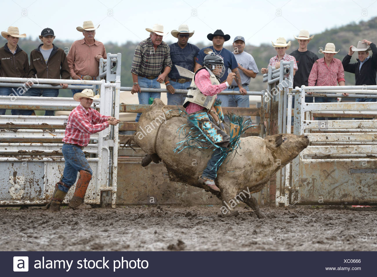 Indian Rodeo High Resolution Stock Photography and Images - Alamy
