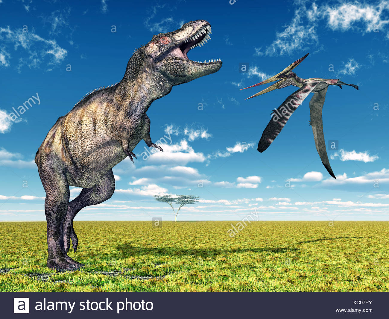 Pterosaur High Resolution Stock Photography and Images - Alamy
