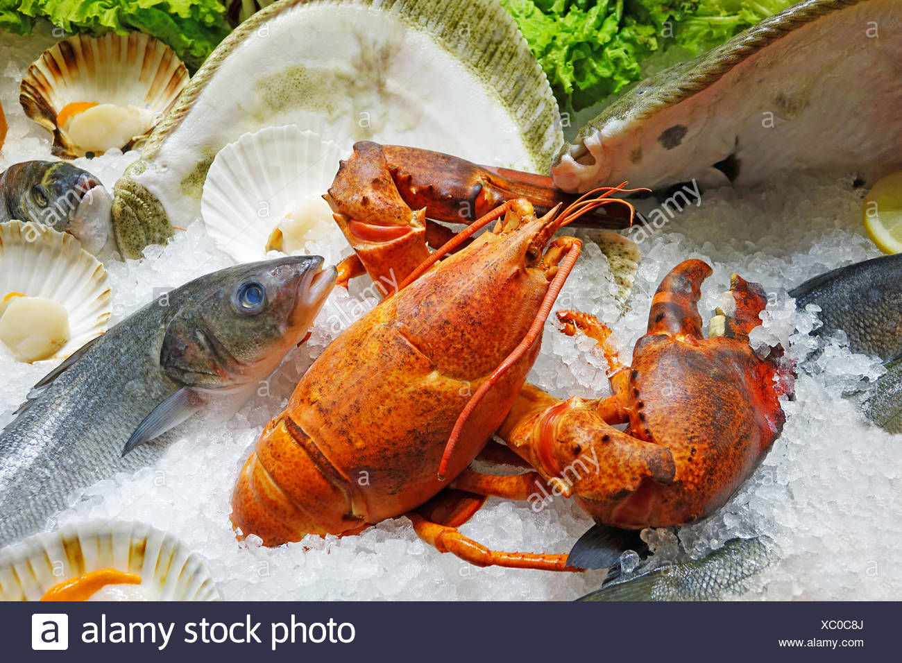 Ice Seafood High Resolution Stock Photography and Images - Alamy