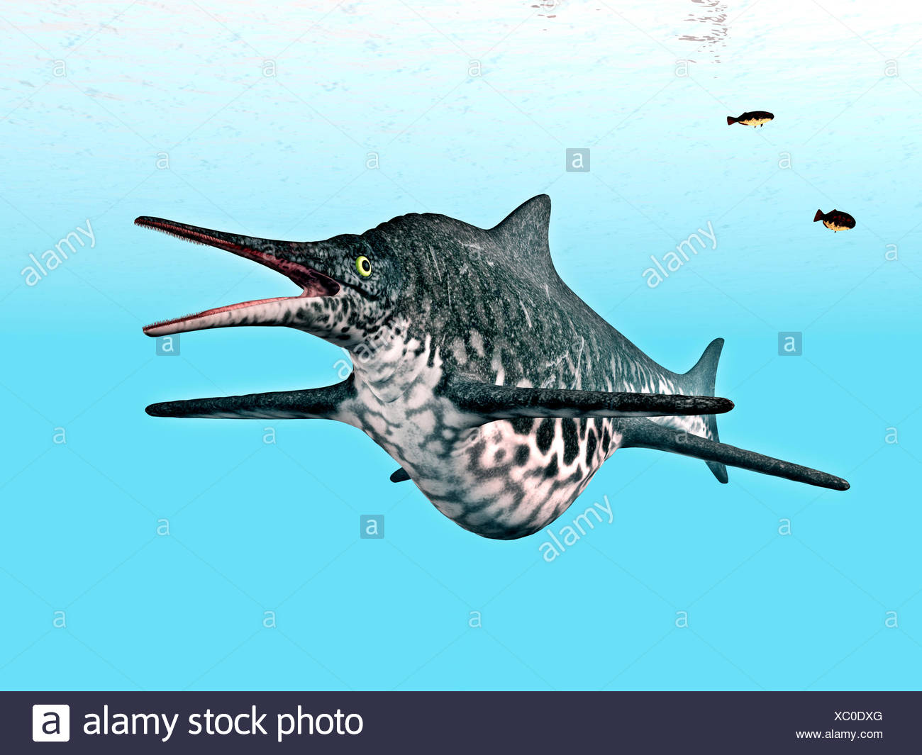 Shonisaurus Stock Photos & Shonisaurus Stock Images - Alamy