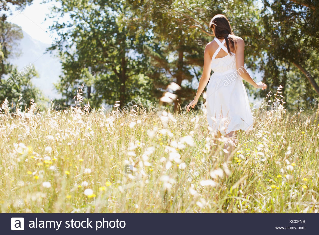 Woman Walking Away Rear Dress Stock Photos & Woman Walking Away Rear ...