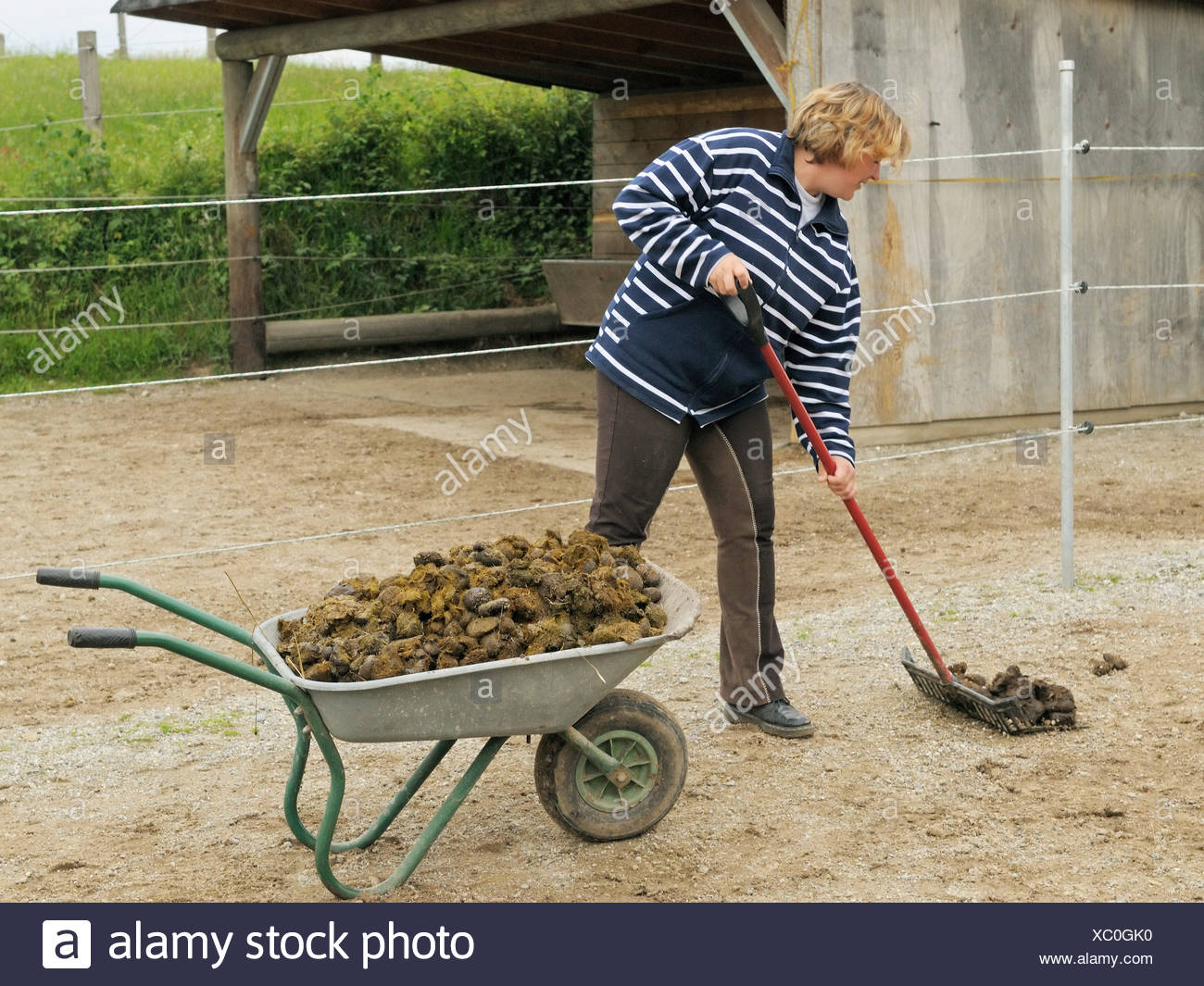 Mucking Out High Resolution Stock Photography and Images - Alamy