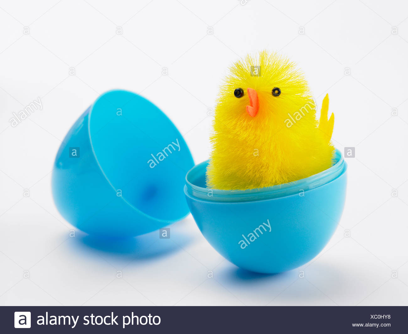 Chick Hatching Egg High Resolution Stock Photography and Images - Alamy