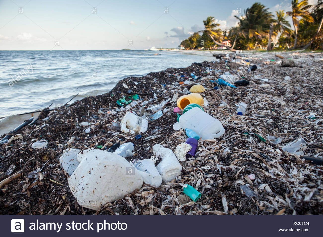 Sea Pollution Caribbean High Resolution Stock Photography and Images ...