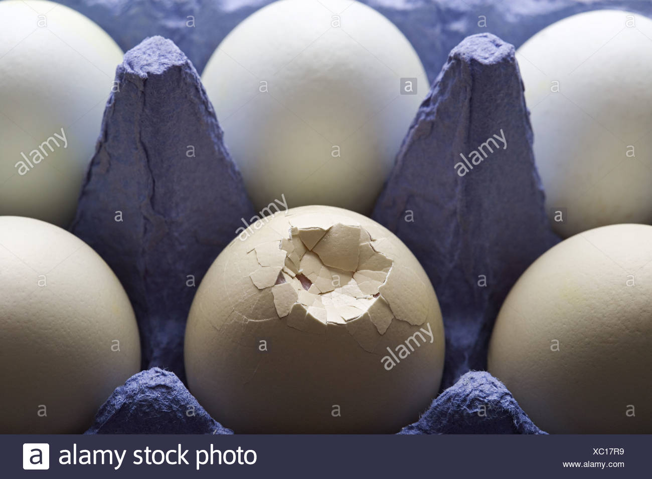 Smashed Eggs High Resolution Stock Photography and Images - Alamy