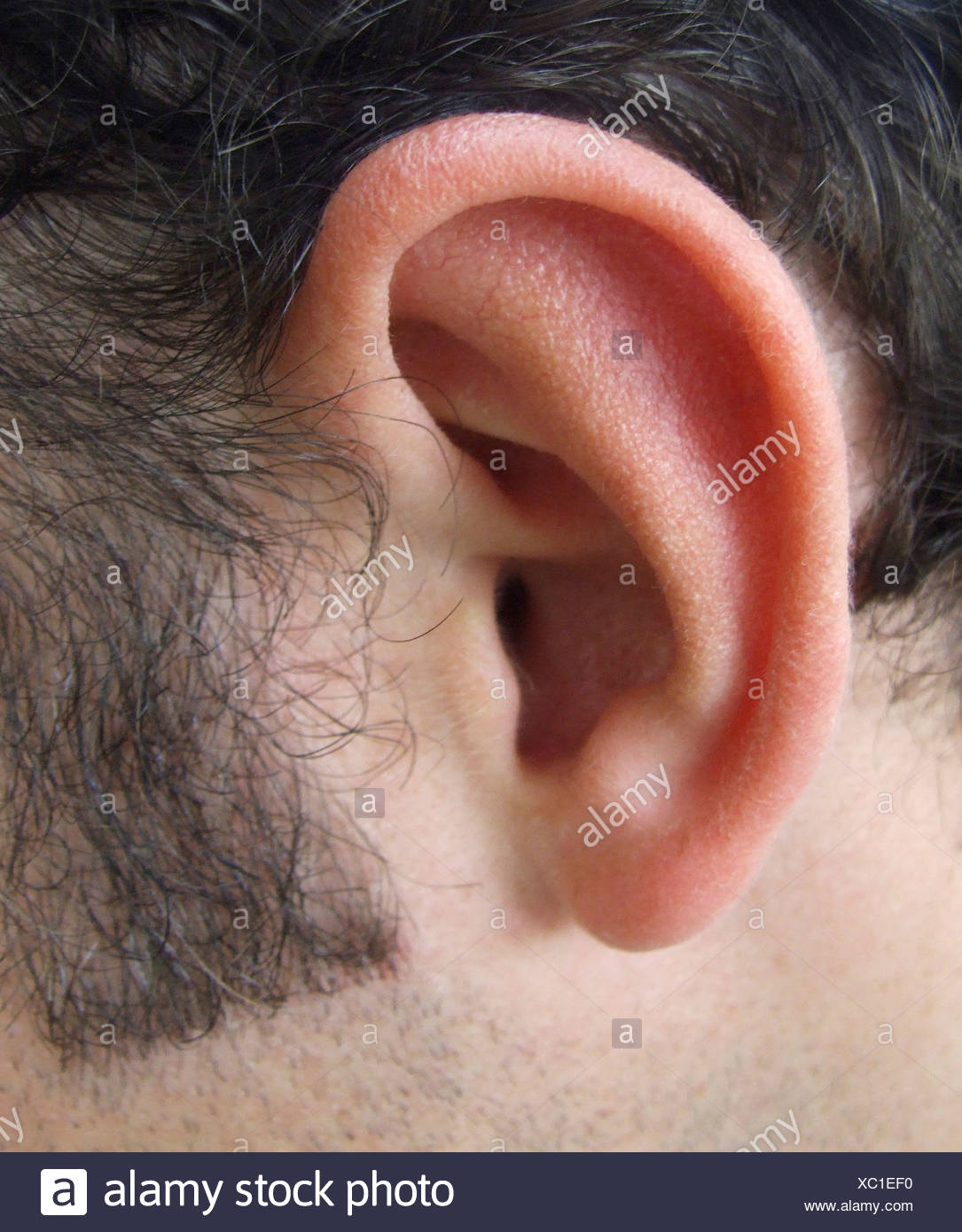Human Ear Close Up High Resolution Stock Photography and Images - Alamy