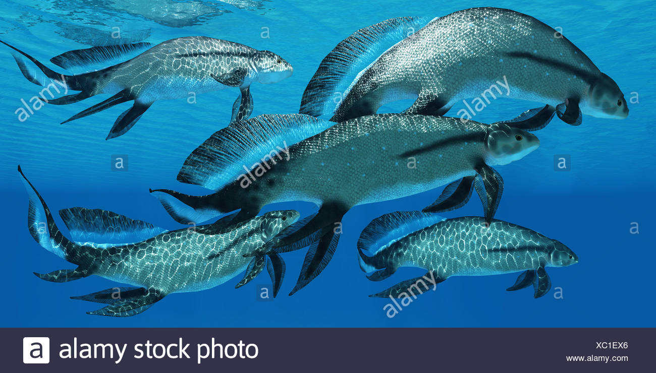 Devonian Fish Stock Photos & Devonian Fish Stock Images - Alamy