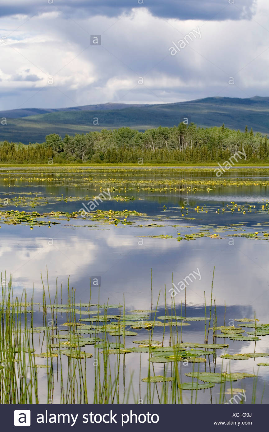 Gravel Lake High Resolution Stock Photography and Images - Alamy