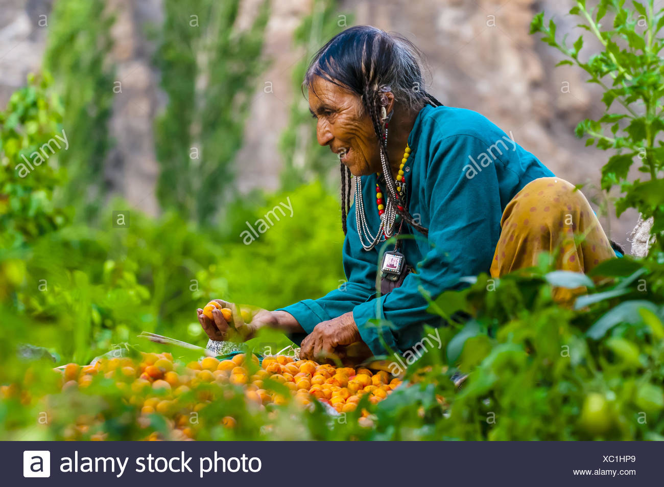 Indo Aryans High Resolution Stock Photography and Images - Alamy