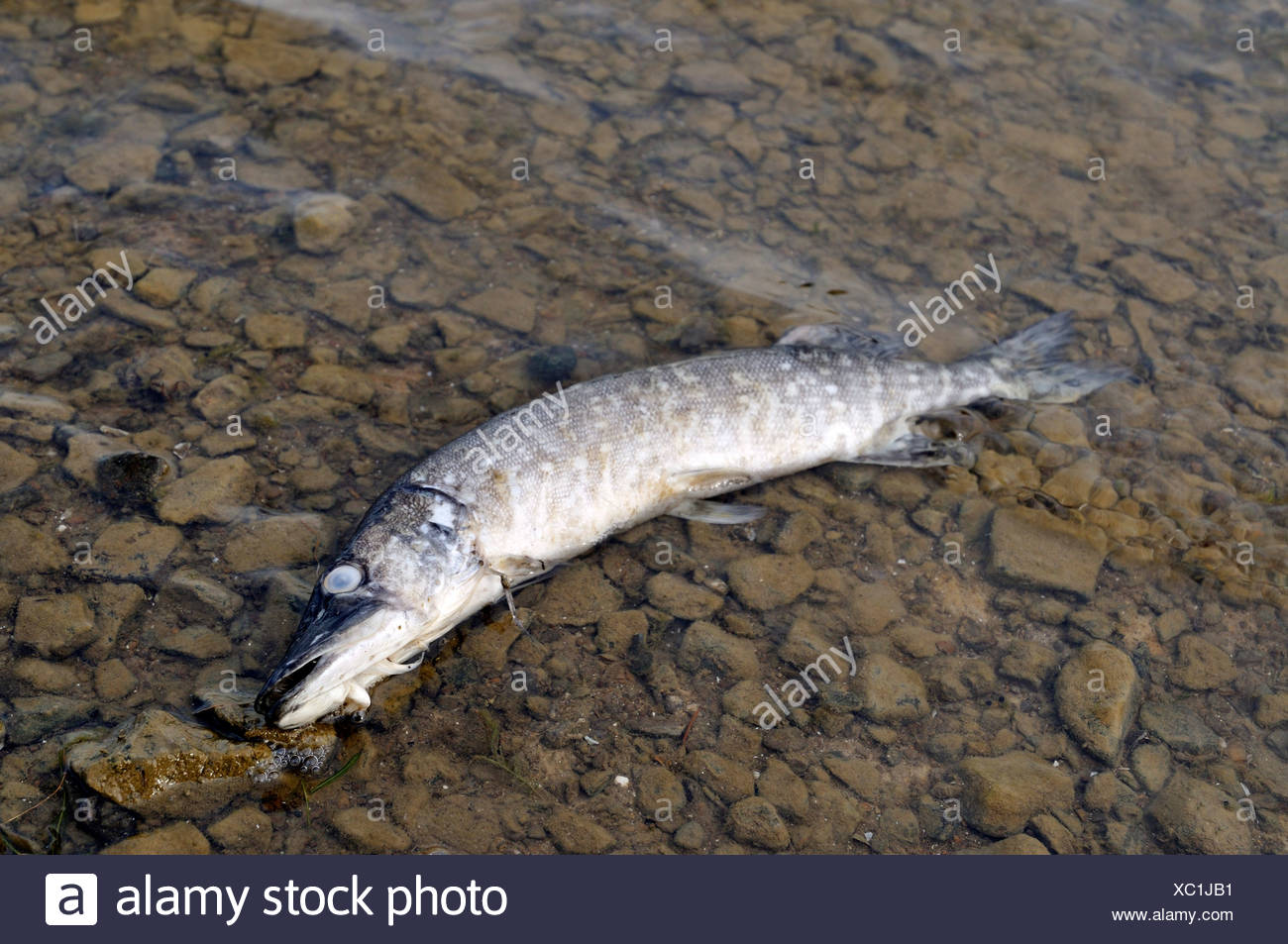 Ground Pollutions High Resolution Stock Photography and Images - Alamy