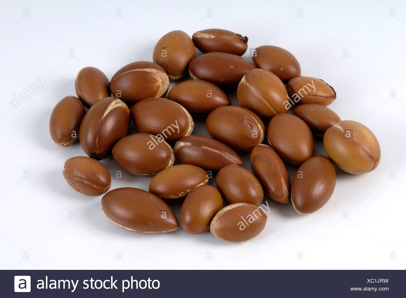 Argan Tree High Resolution Stock Photography and Images - Alamy