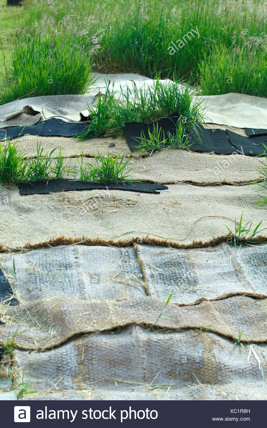 Strips Of Grass High Resolution Stock Photography and Images - Alamy
