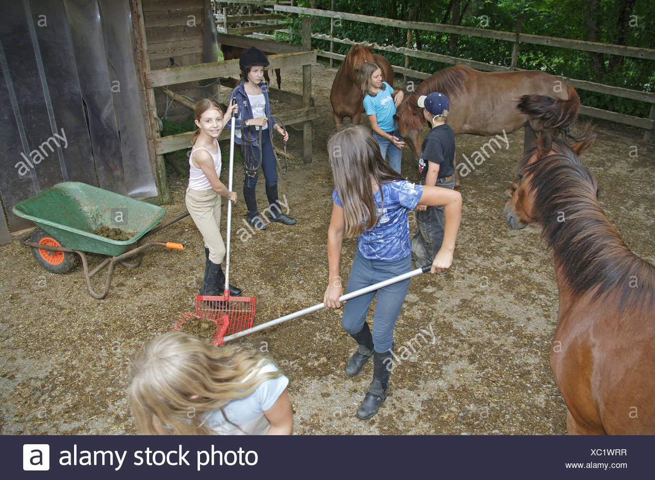 Stable Girls Stock Photos & Stable Girls Stock Images - Alamy