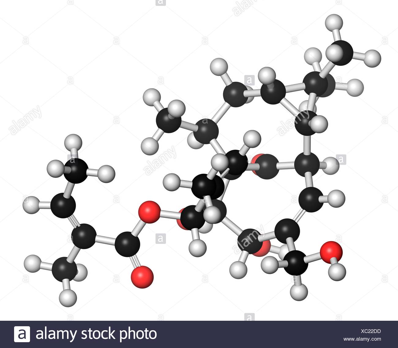 Ingenol High Resolution Stock Photography and Images - Alamy