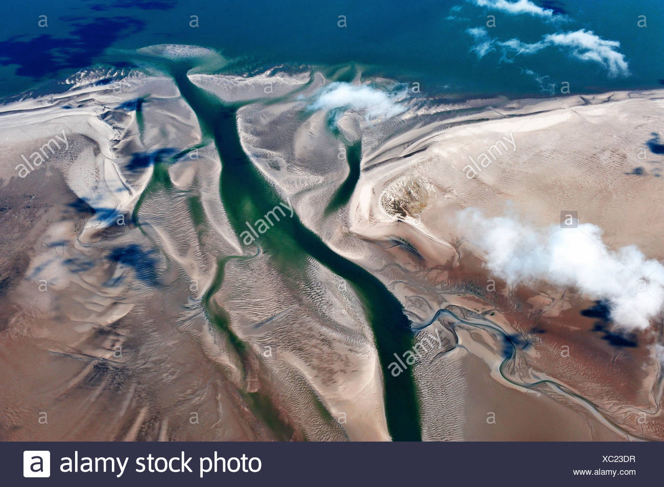 Tidal Ecosystem High Resolution Stock Photography and Images - Alamy