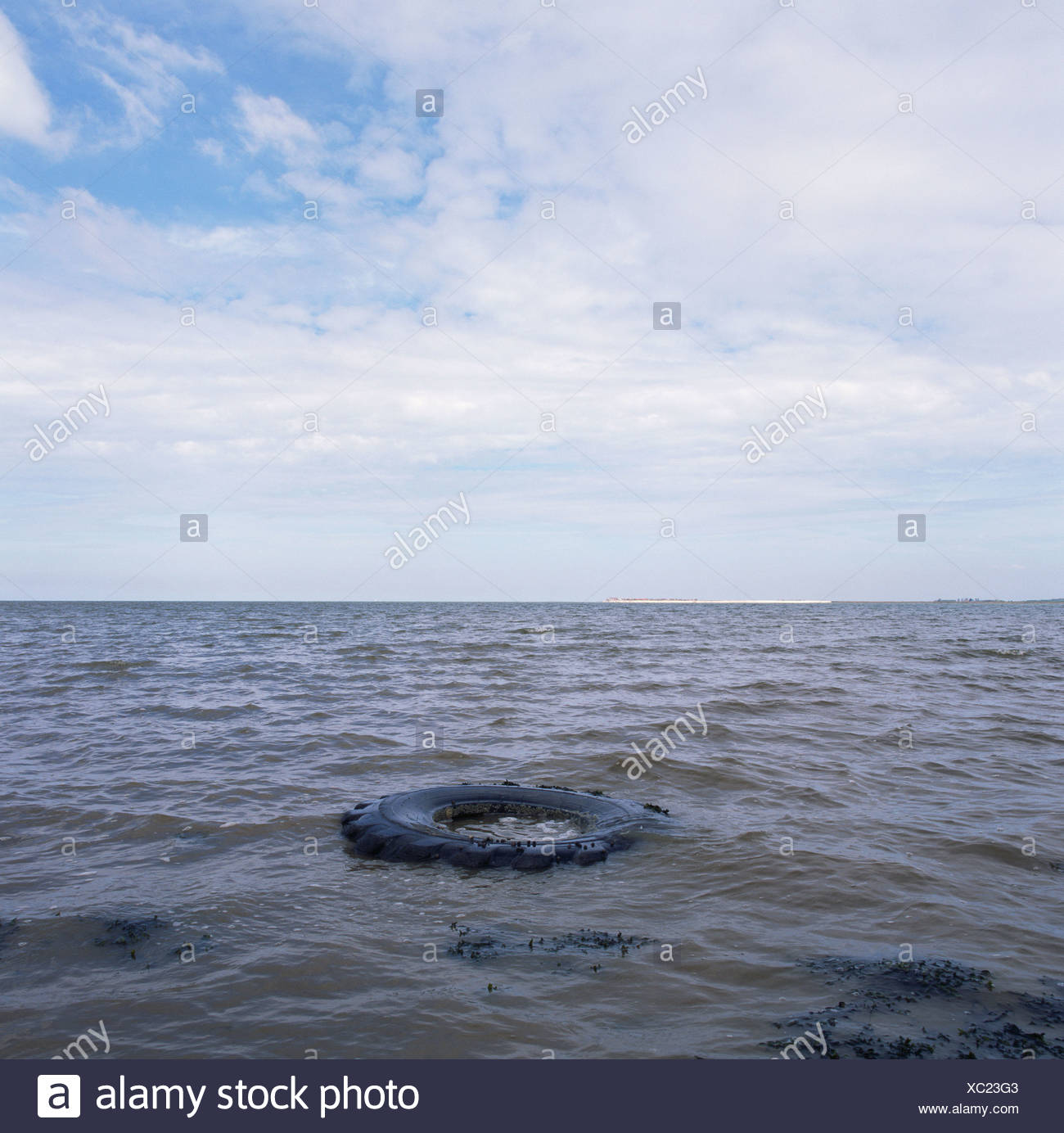 Bad In Environment High Resolution Stock Photography and Images - Alamy
