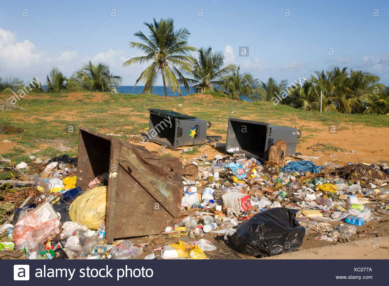 Problems Of Environmental Pollution High Resolution Stock Photography ...