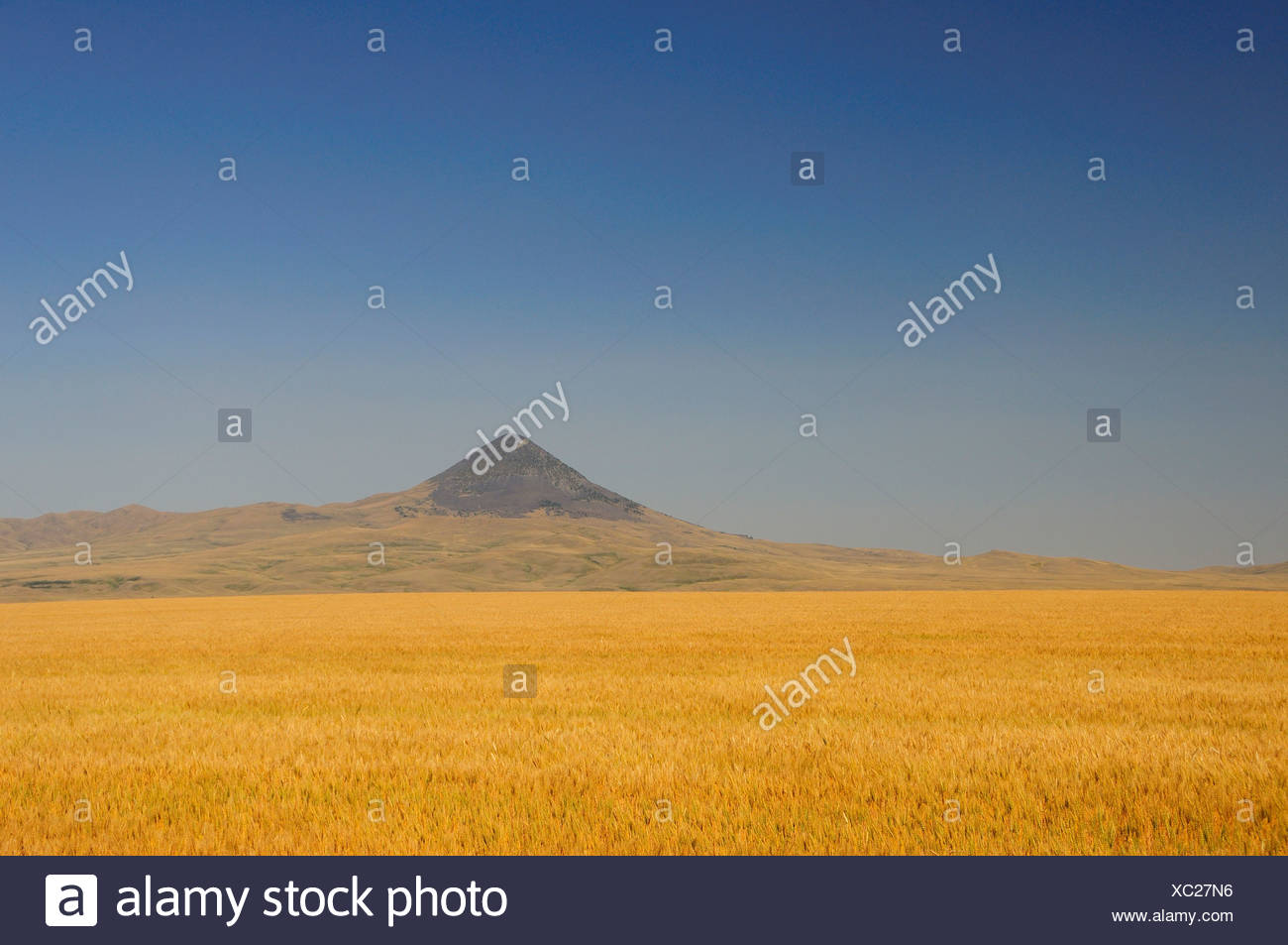 Sweetgrass Hills Stock Photos & Sweetgrass Hills Stock Images - Alamy