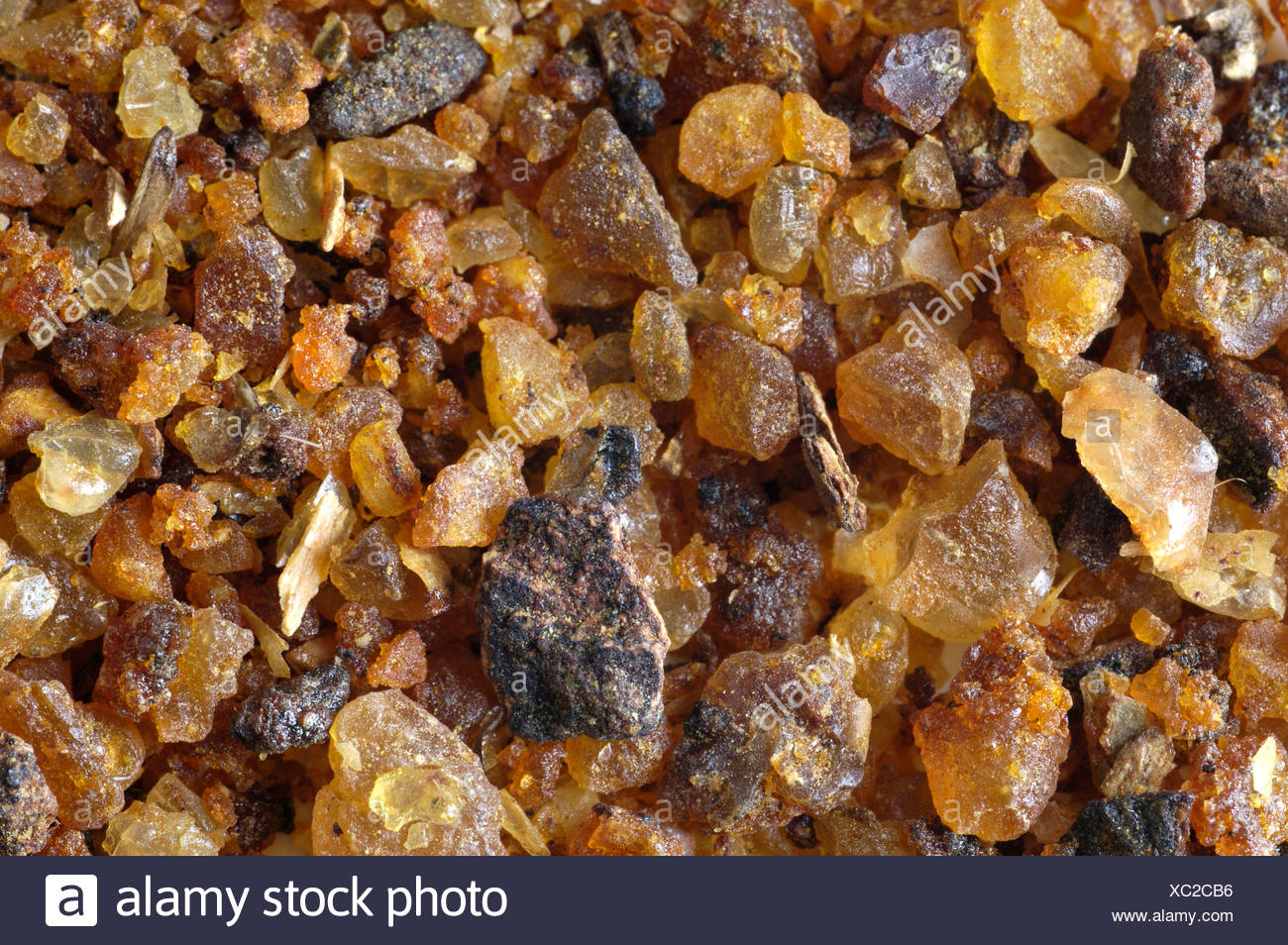 Myrrh High Resolution Stock Photography and Images - Alamy