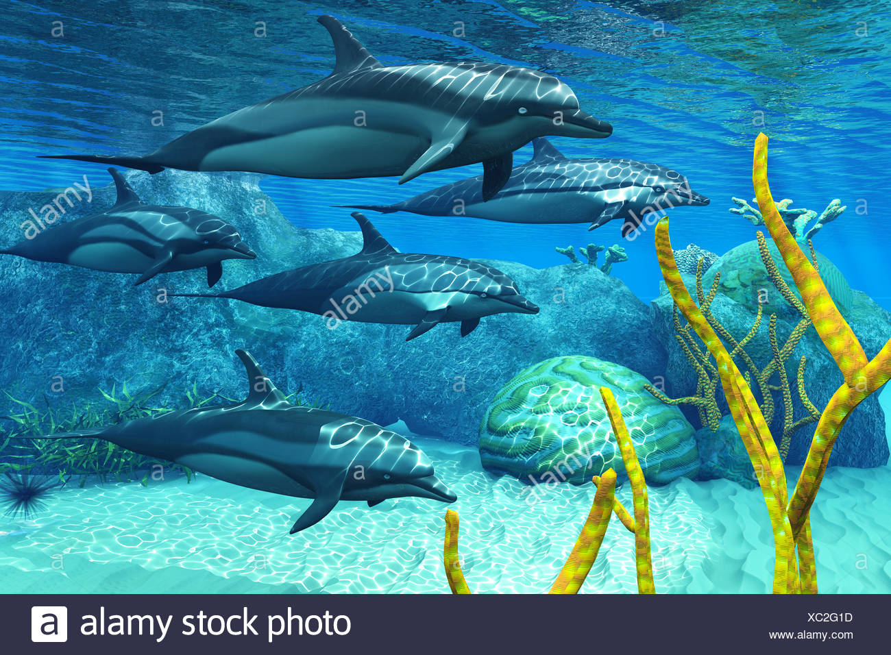 Striped Dolphin Underwater High Resolution Stock Photography and Images ...