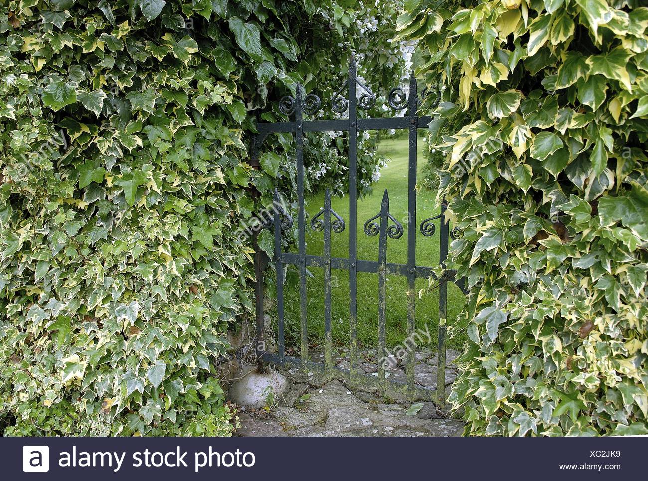 Ivy Gates High Resolution Stock Photography and Images - Alamy