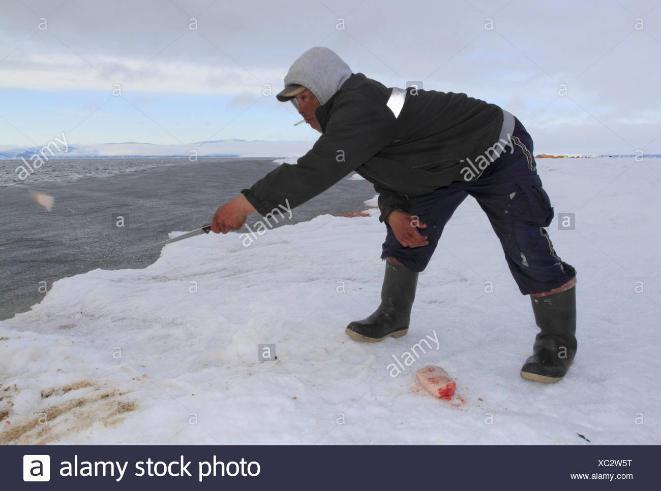 Inuit Whale Hunting High Resolution Stock Photography and Images - Alamy