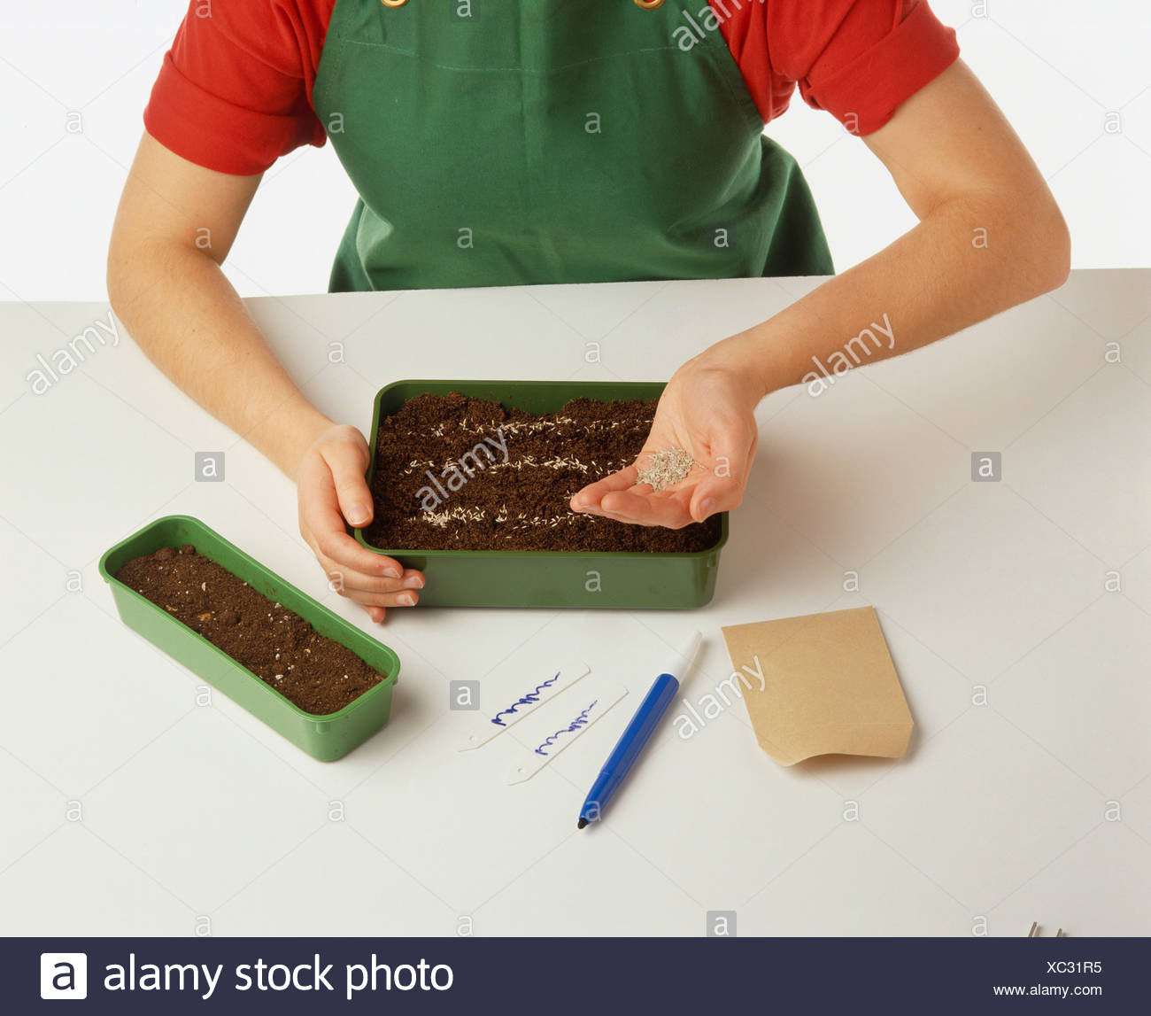 Scattering Seeds Soil High Resolution Stock Photography and Images - Alamy