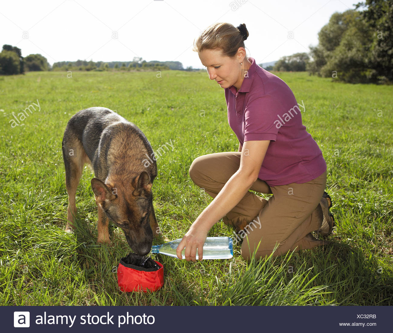 Woman Giving Water To Dog High Resolution Stock Photography and Images ...