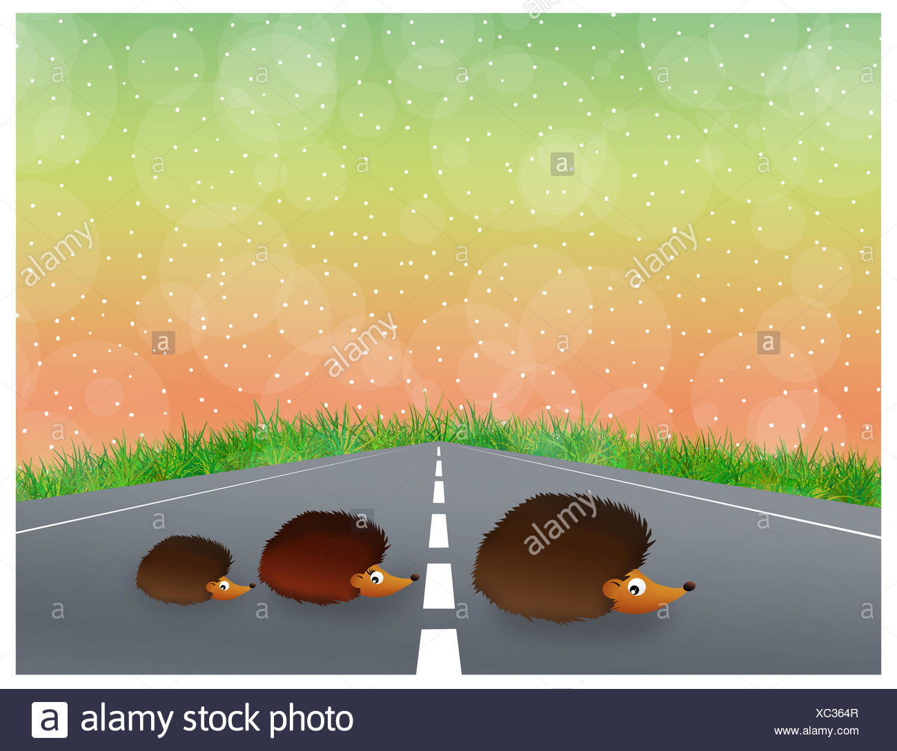 Hedgehogs Family Stock Photos & Hedgehogs Family Stock Images - Alamy