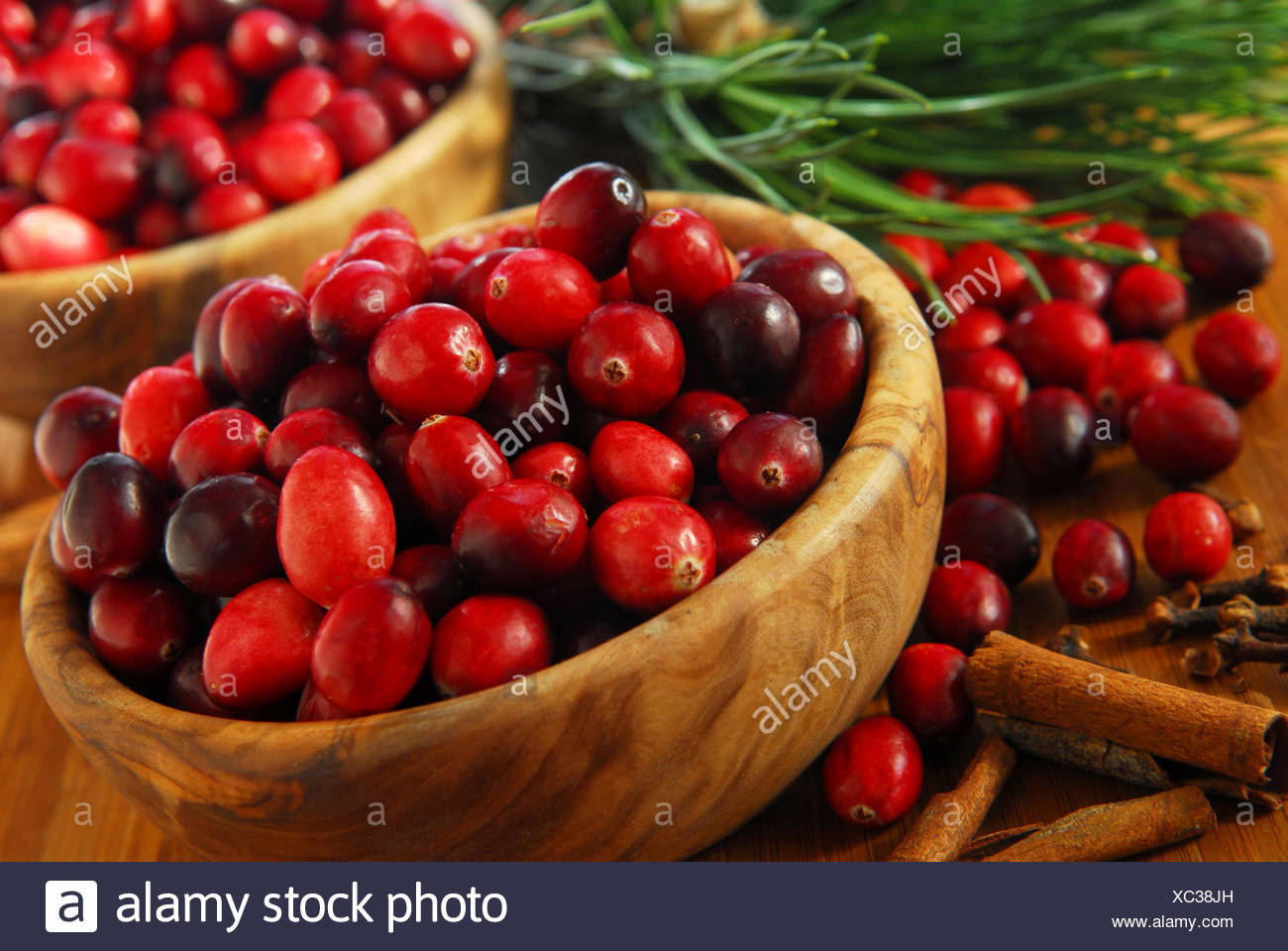 Cook Pine High Resolution Stock Photography and Images - Alamy