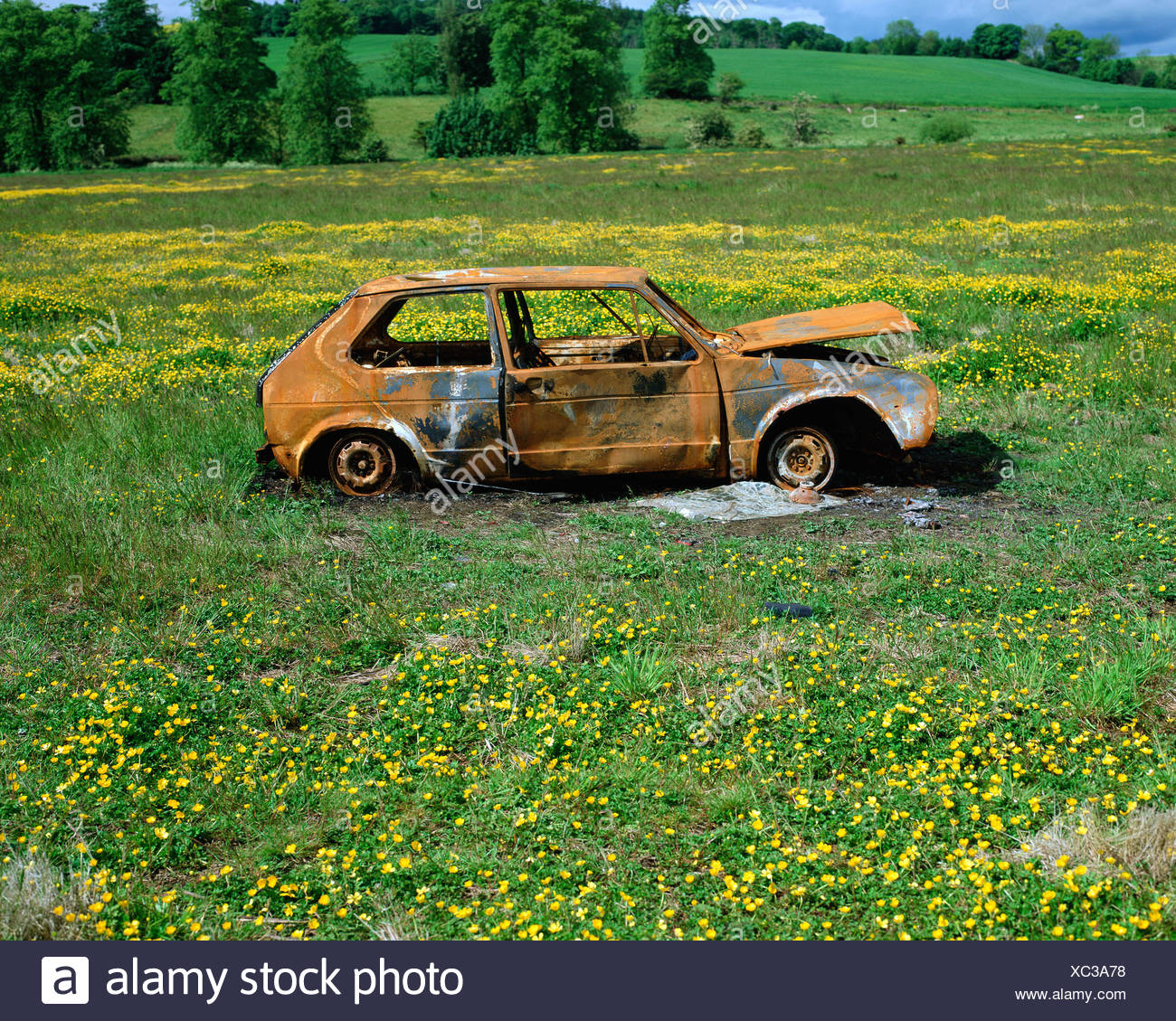 Car Ruined High Resolution Stock Photography and Images - Alamy