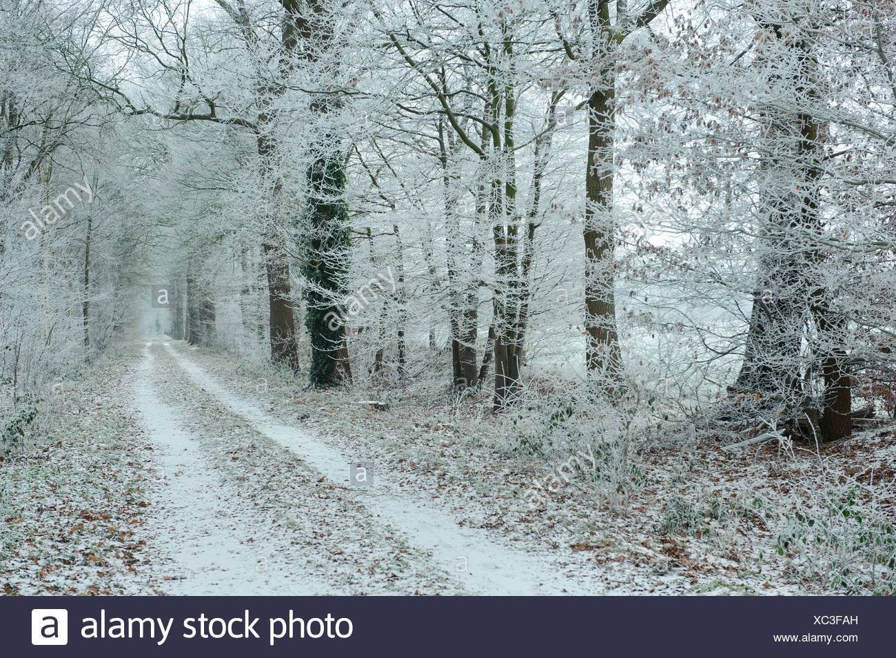 Bakum High Resolution Stock Photography and Images - Alamy